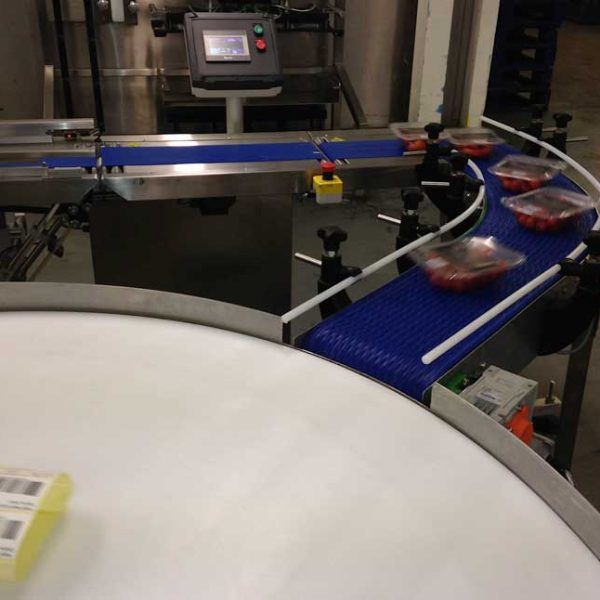 Rotary Packing Table - SPG Conveyor Systems